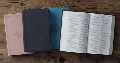 ESV Large Print Value Thinline Bible (TruTone, Black)