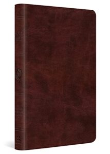 esv large print thinline bible (trutone, mahogany)