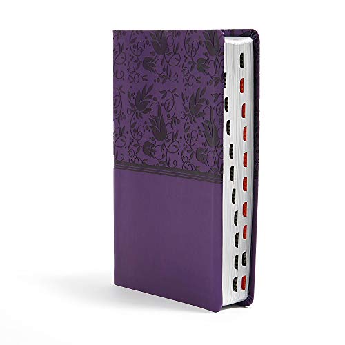 NIV Rainbow Study Bible, Purple LeatherTouch Indexed