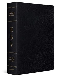 esv study bible, large print (genuine leather, black)