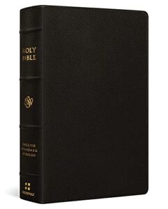 esv large print personal size bible (buffalo leather, deep brown)