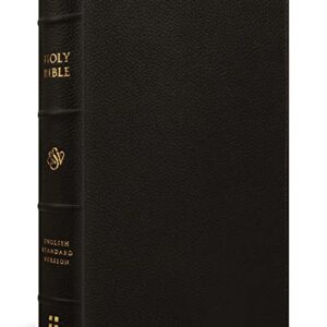 ESV Large Print Personal Size Bible (Buffalo Leather, Deep Brown)