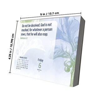 2023 Bible Verses Day-at-a-Time Box Calendar