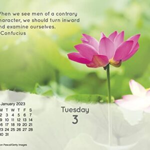 2023 Zen Day-at-a-Time Box Calendar