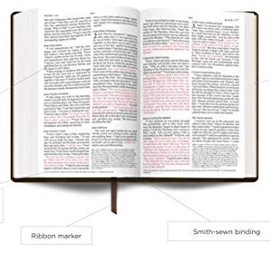 ESV Large Print Thinline Reference Bible (Brown)