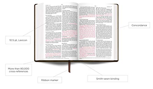 ESV Large Print Thinline Reference Bible (Brown)