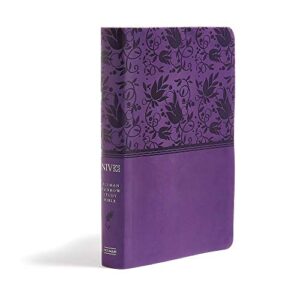 NIV Rainbow Study Bible, Purple LeatherTouch Indexed