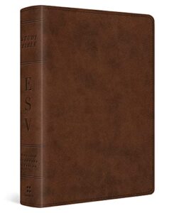 esv study bible, personal size (trutone, brown)