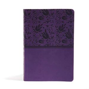 niv rainbow study bible, purple leathertouch indexed