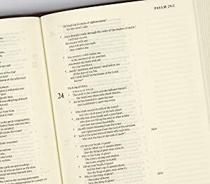 ESV Single Column Journaling Bible (Customizable Cover)