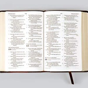 ESV Large Print Compact Bible(8 pt Lexicon type Print) (TruTone, Berry, Floral Design)