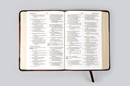 ESV Large Print Compact Bible(8 pt Lexicon type Print) (TruTone, Berry, Floral Design)