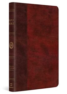 esv large print thinline bible (trutone, burgundy/red, timeless design)