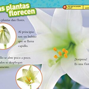 National Geographic Readers: De Semilla a Planta (L1) (Spanish Edition)