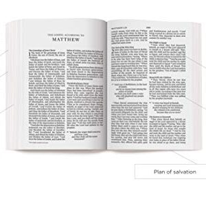 ESV Economy Bible, Giant Print