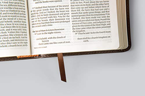 ESV Large Print Compact Bible(8 pt Lexicon type Print) (TruTone, Berry, Floral Design)