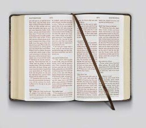 ESV Large Print Personal Size Bible (TruTone, Brown, Engraved Mantel Design)