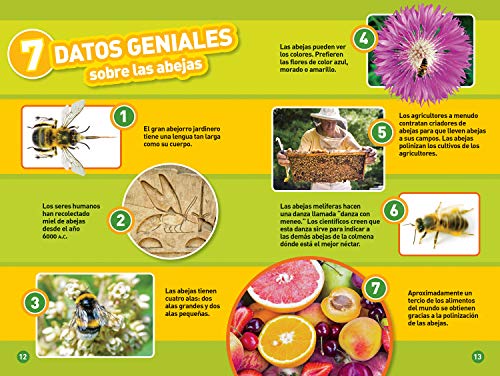 National Geographic Readers: Las Abejas (L2) (Spanish Edition)