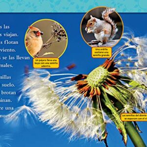 National Geographic Readers: De Semilla a Planta (L1) (Spanish Edition)