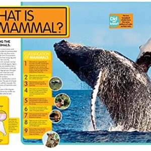 National Geographic Kids Animal Encyclopedia, 2nd Edition: 2,500 Animals with Photos, Maps, and More!