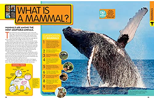 National Geographic Kids Animal Encyclopedia, 2nd Edition: 2,500 Animals with Photos, Maps, and More!