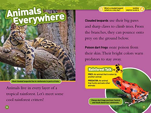 Rainforests (National Geographic Kids Readers, Level 2)