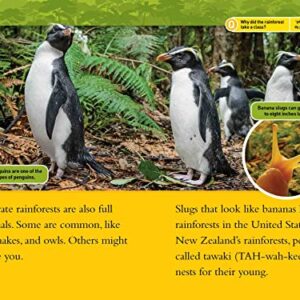 Rainforests (National Geographic Kids Readers, Level 2)