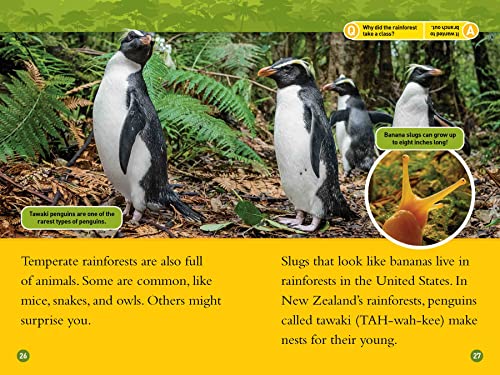 Rainforests (National Geographic Kids Readers, Level 2)