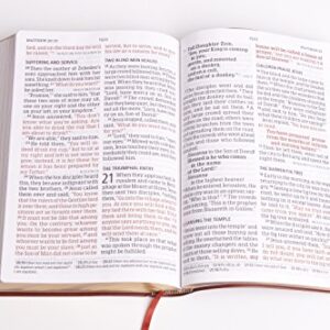 CSB Super Giant Print Reference Bible, Brown LeatherTouch