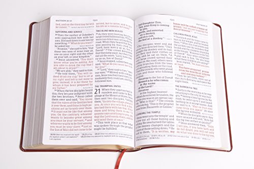 CSB Super Giant Print Reference Bible, Brown LeatherTouch