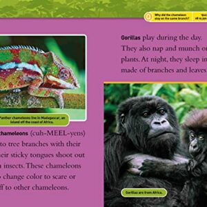 Rainforests (National Geographic Kids Readers, Level 2)