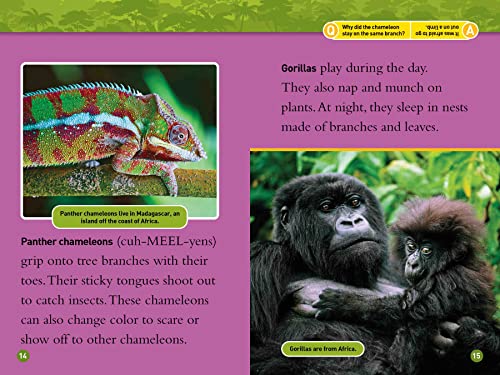 Rainforests (National Geographic Kids Readers, Level 2)