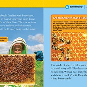 Animal Architects (National Geographic Kids Readers, Level 3)