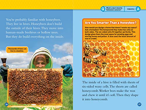 Animal Architects (National Geographic Kids Readers, Level 3)