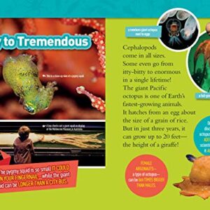 Ink! (National Geographic Geographic Kids Readers, Level 3): 100 FUN Facts About Octopuses, Squid, and More (National Geographic Kids Readers)