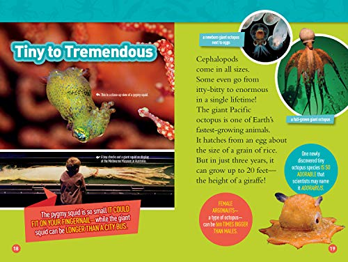 Ink! (National Geographic Geographic Kids Readers, Level 3): 100 FUN Facts About Octopuses, Squid, and More (National Geographic Kids Readers)