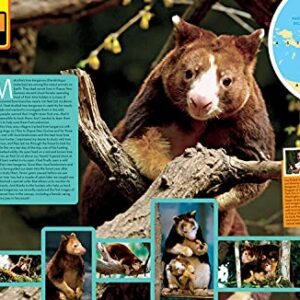 National Geographic Kids Animal Encyclopedia, 2nd Edition: 2,500 Animals with Photos, Maps, and More!