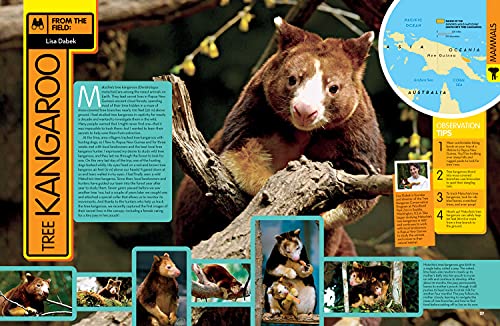 National Geographic Kids Animal Encyclopedia, 2nd Edition: 2,500 Animals with Photos, Maps, and More!