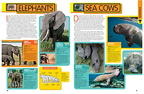 National Geographic Kids Animal Encyclopedia, 2nd Edition: 2,500 Animals with Photos, Maps, and More!