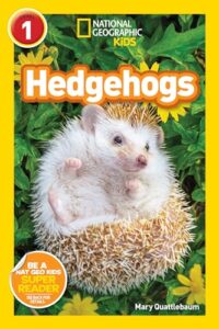 hedgehogs (national geographic kids readers, level 1)