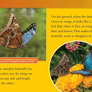 Animals That Change Color (National Geographic Kids Readers, Level 2)