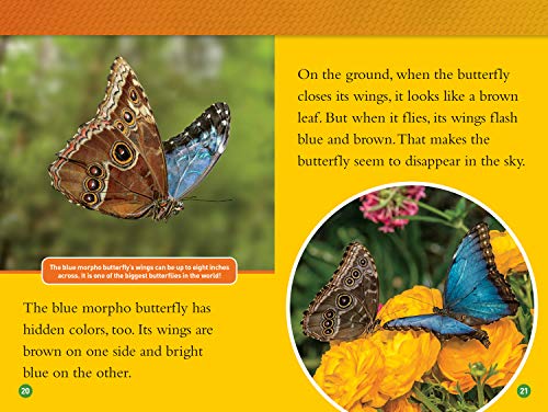 Animals That Change Color (National Geographic Kids Readers, Level 2)