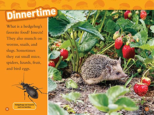 Hedgehogs (National Geographic Kids Readers, Level 1)