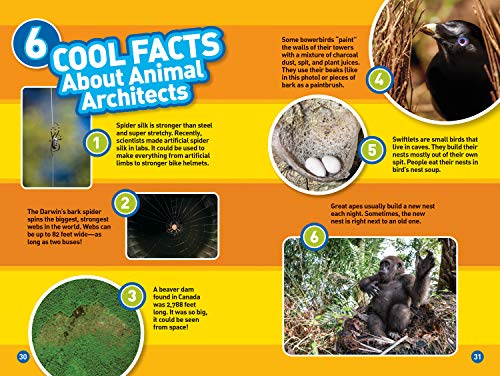 Animal Architects (National Geographic Kids Readers, Level 3)