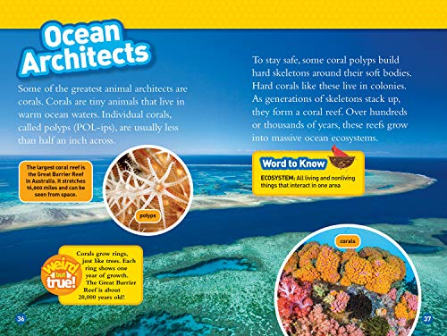 Animal Architects (National Geographic Kids Readers, Level 3)