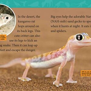 Adorable Animals (National Geographic Kids Readers, Level 2)