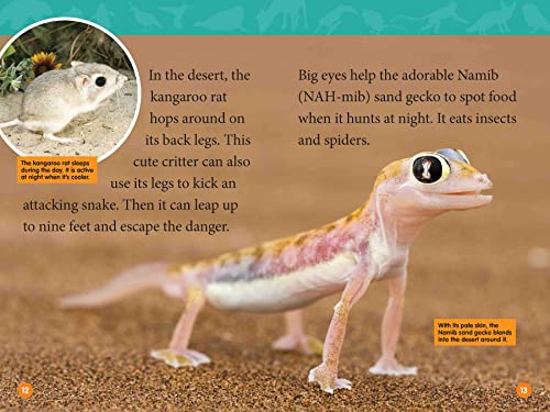 Adorable Animals (National Geographic Kids Readers, Level 2)