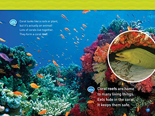 In the Ocean (National Geographic Kids Readers, Level 1/Co-Reader)