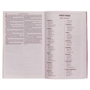 KJV Holy Bible, Gift and Award Bible - Softcover, King James Version, Burgundy (KJV Gift Award Editions)