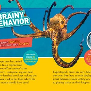 Ink! (National Geographic Geographic Kids Readers, Level 3): 100 FUN Facts About Octopuses, Squid, and More (National Geographic Kids Readers)